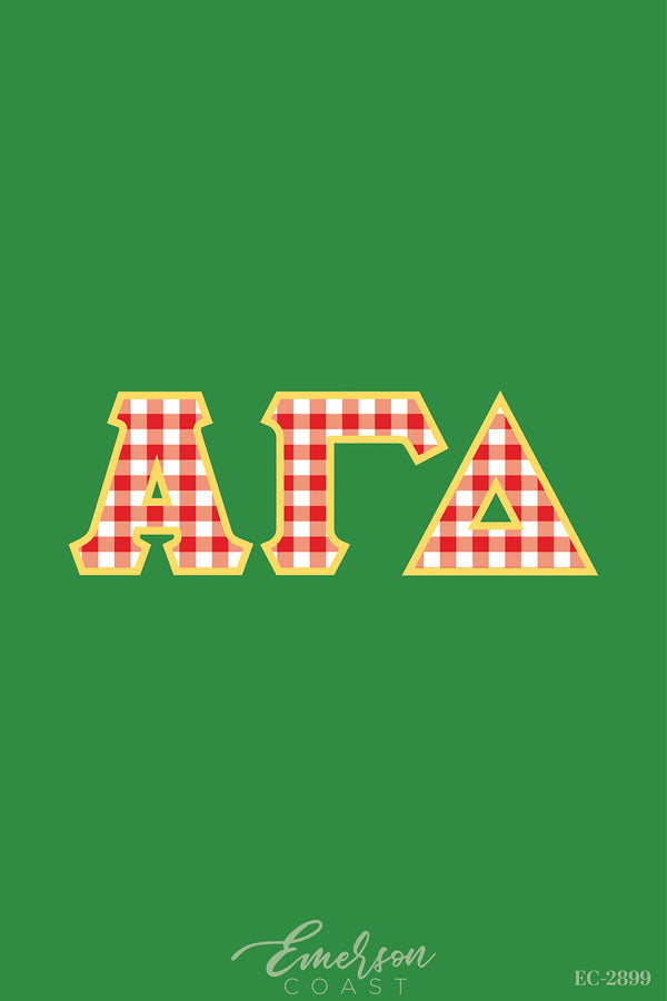 Alpha Gamma Delta Red Gingham Letters Green Jersey Top - Emerson Coast