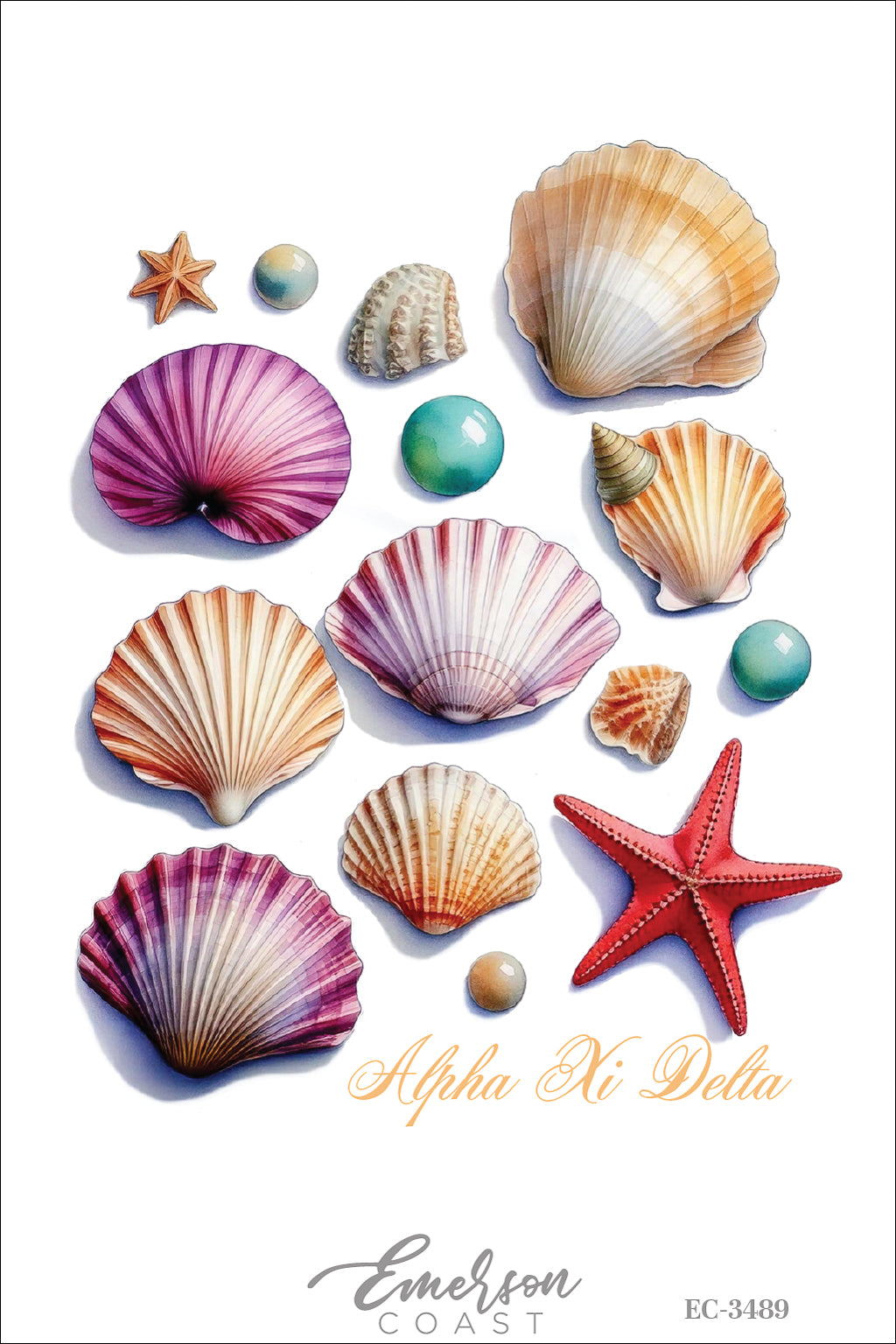Alpha Xi Delta Seashells PR Tee - Emerson Coast
