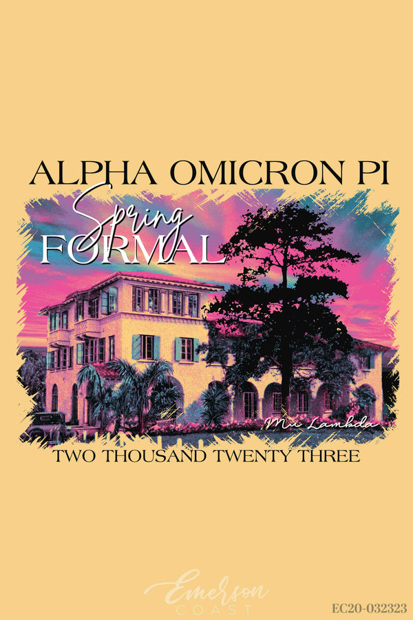 Alpha Omicron Pi Rollins College Formal T-shirt - Emerson Coast